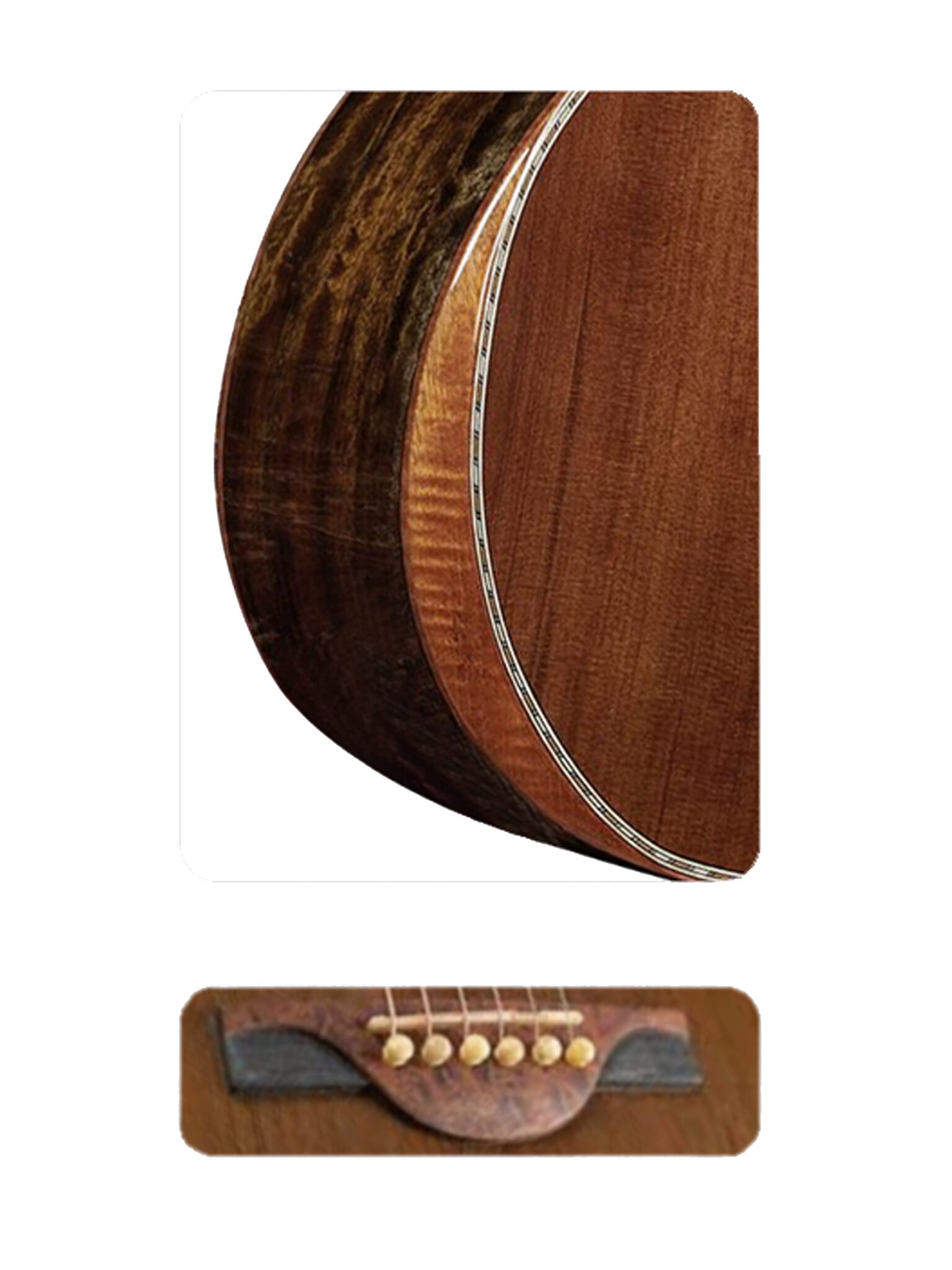 Merida Extrema Mistral Semi Acoustic Guitar - Dagna Music